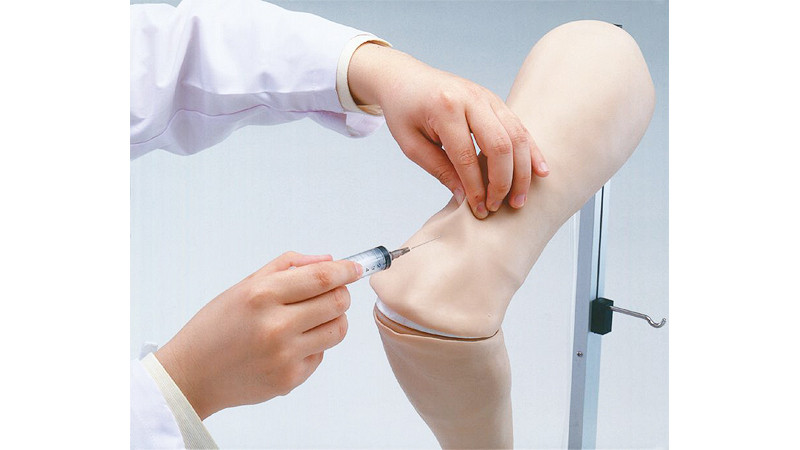 KOKEN Multipurpose Injection Training - Southern Biological