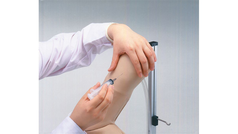 KOKEN Multipurpose Injection Training - Southern Biological