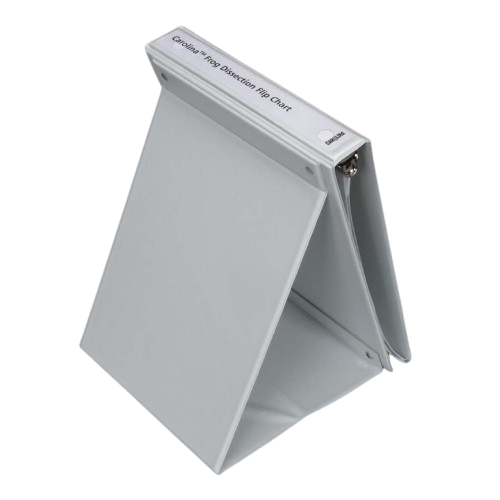 Frog Dissection Flip Chart - Southern Biological