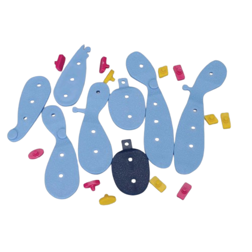 Modelling Mitosis & Meiosis Kit (1-Station) - Southern Biological