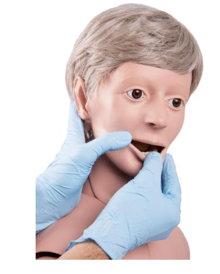 1025295 - 3B Scientific Patient Care Manikin PRO