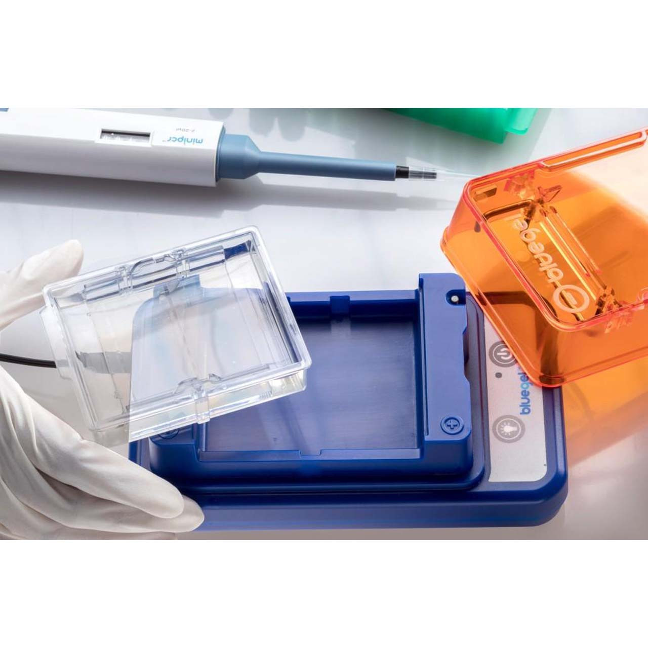 blueGel Electrophoresis classroom bundle 5 - Southern Biological
