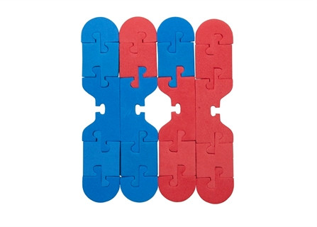 Chromosome Connections Kit - Southern Biological