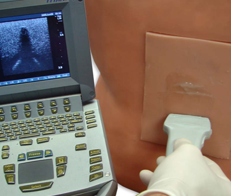 Lumbar Puncture Trainer