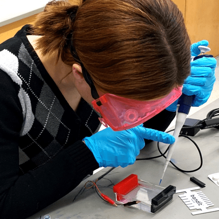 Dye Electrophoresis Lab: Molecular Rainbow - Southern Biological