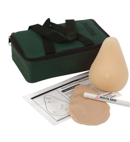 1017889 - Standard Breast Self Examination Model, Beige