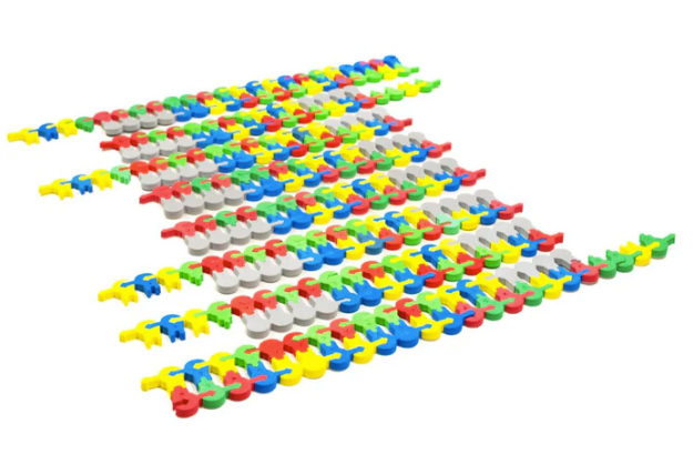 Biotechnology Kit - Southern Biological