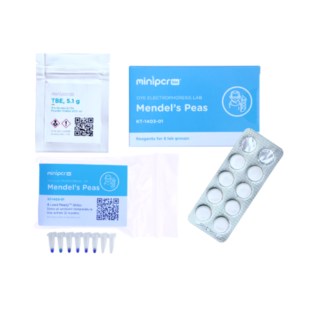 Dye Electrophoresis Lab: Mendel's Peas - Southern Biological