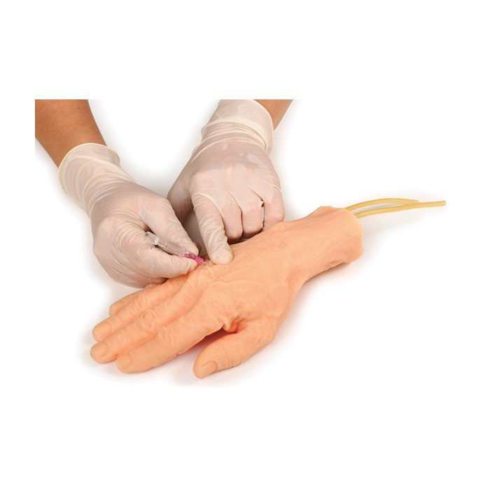 Injection Training Hand Model - Southern Biological