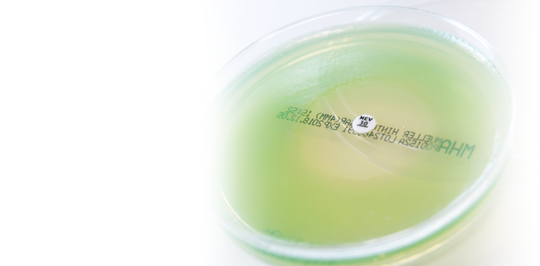 Antibiotic Susceptibility Discs - Southern Biological