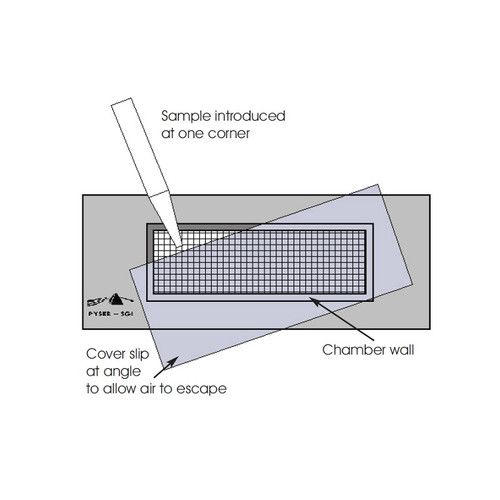 Sedgewick Rafter cell - Southern Biological