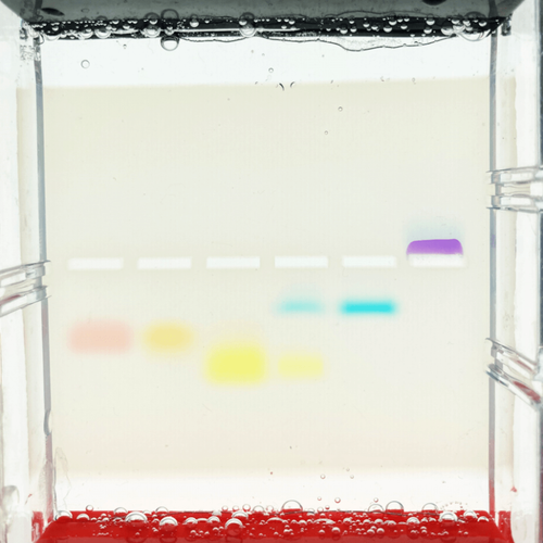 Dye Electrophoresis Lab: Molecular Rainbow - Southern Biological
