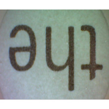 Newspaper print, WM Microscope Slide - Southern Biological