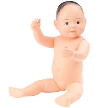 KOKEN 4 Month Old Baby, Handling Practice - Southern Biological