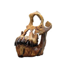 Sivapithecus indicus, GSP 15000