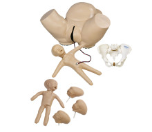 Obstetric Phantom Set,Light Skin