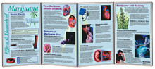 Effects & Hazards Of Marijuana Folding Display (4 Panel) - Southern ...