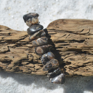Turritella Stone French Barrette - 60 mm - Made to Order