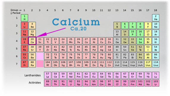 Calcium Professional Line 32 oz.- Angstrom Minerals