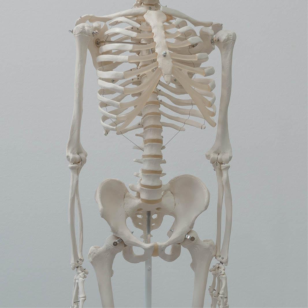 Dem Bones Dem Bones Dem Dry Bones… - HealthPost NZ