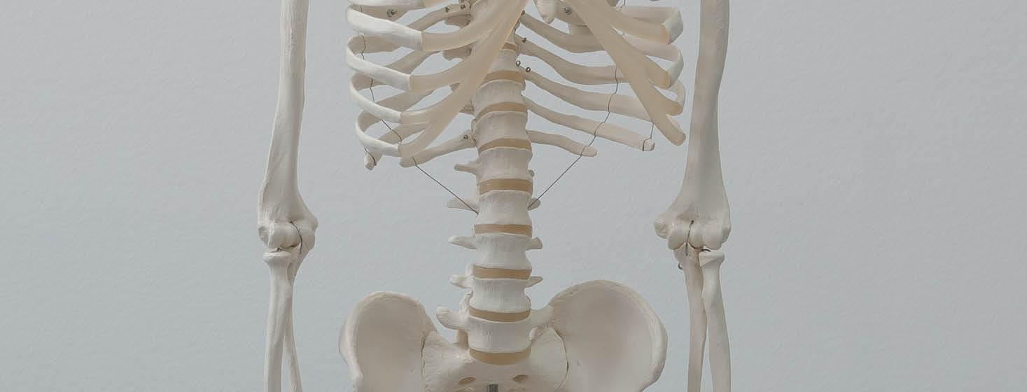 How to build a good skeleton – and keep it that way! - HealthPost NZ
