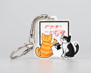 Mathematician Cats Key Ring made from recycled plastics - maths math ...