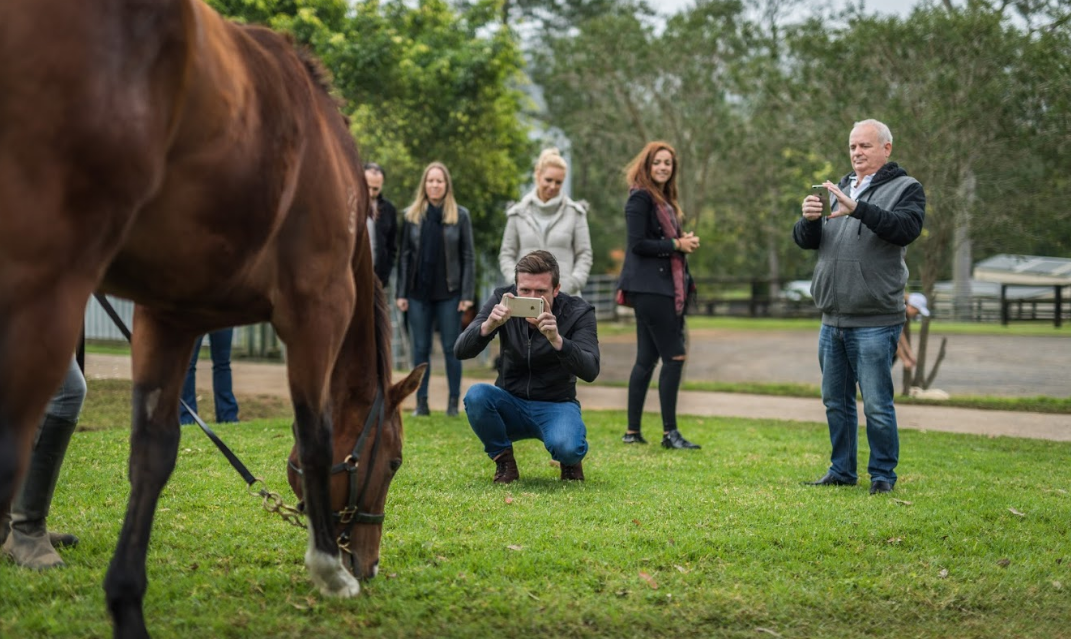 Ray Gatt: Why I chose the miRunners experience - miRunners Store