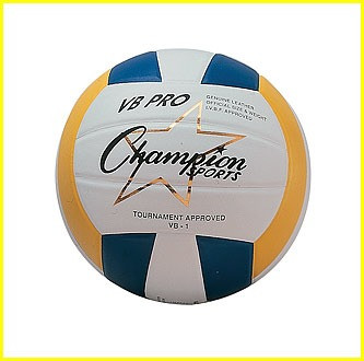 Champion Sports VB Pro Series Volleyball 2 - Oaks Batter Up Texas