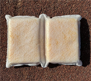 Advanced Sponge Pillow - Case of 10 - Oaks Batter Up Texas