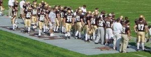 Fieldsaver Pro 16 oz Sideline Turf Protector 14' x 50' - Oaks Batter Up ...
