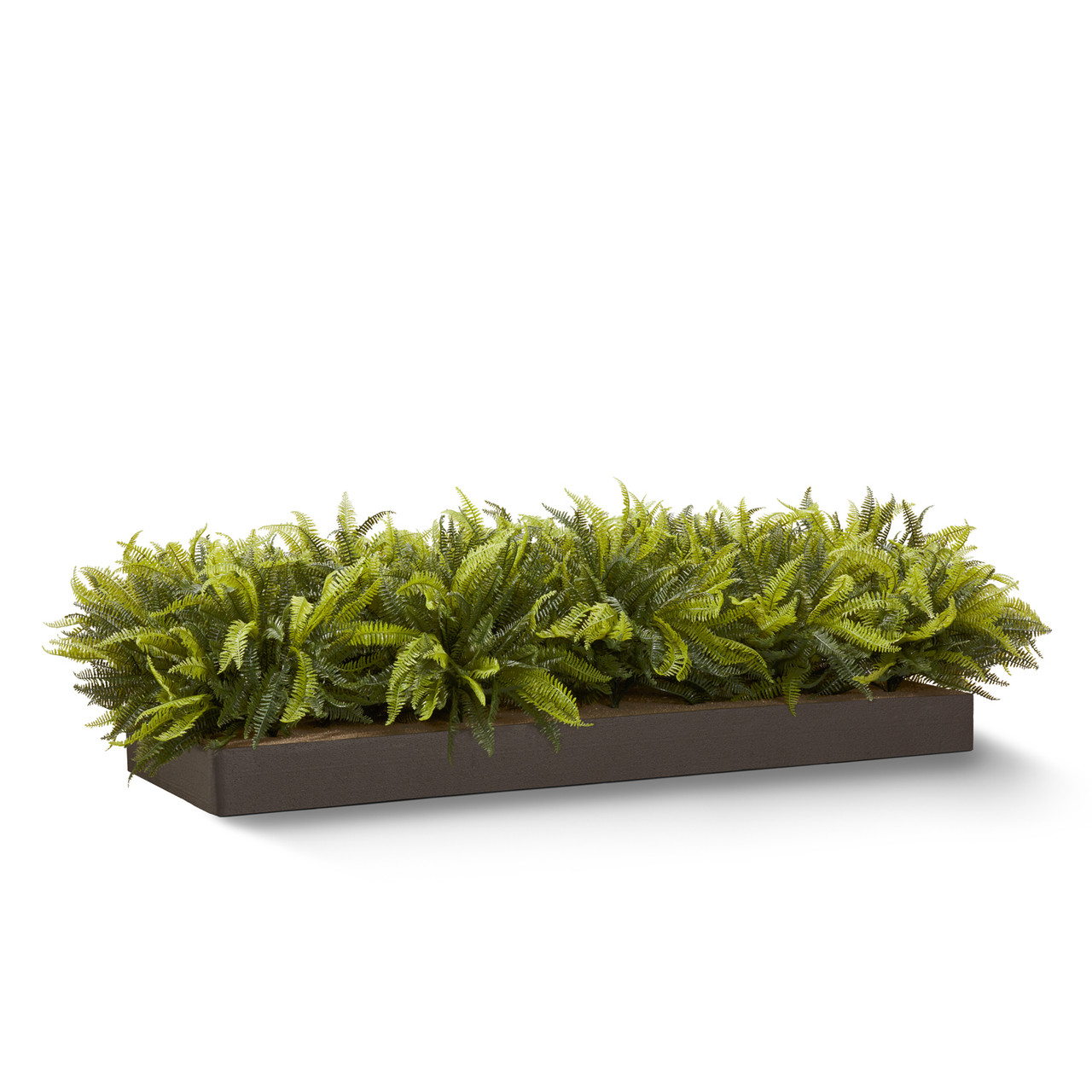 Exterior Rated UV Fade Resistant Boston Fern Groundcover Plantscape ...