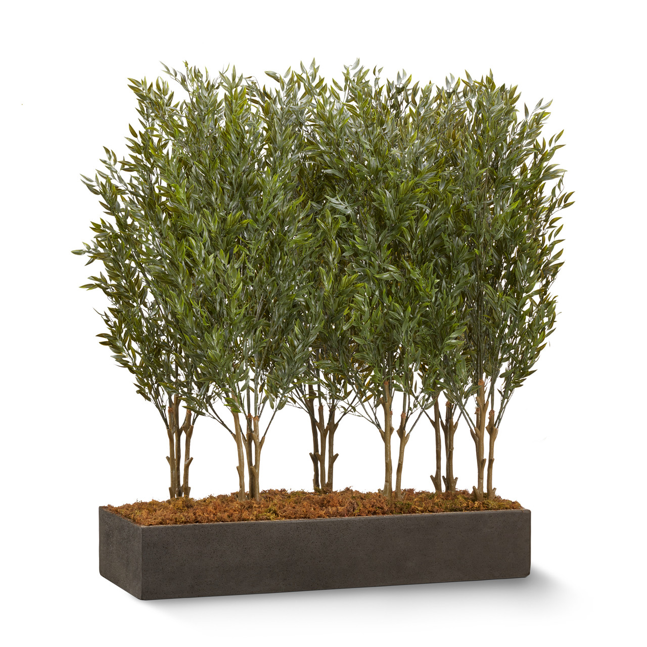 Exterior Rated UV Fade Resistant Ruscus Tree Plantscape- Choose Width ...
