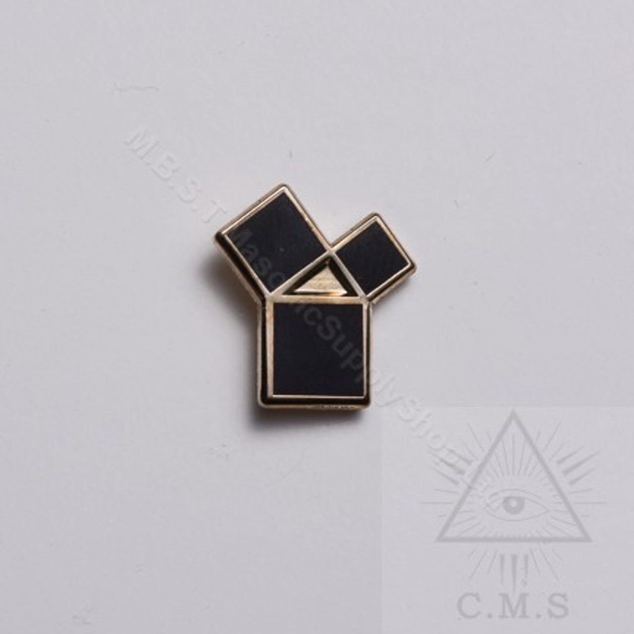 Past Master Pin: Masonic Supply Shop (Freemason Store)