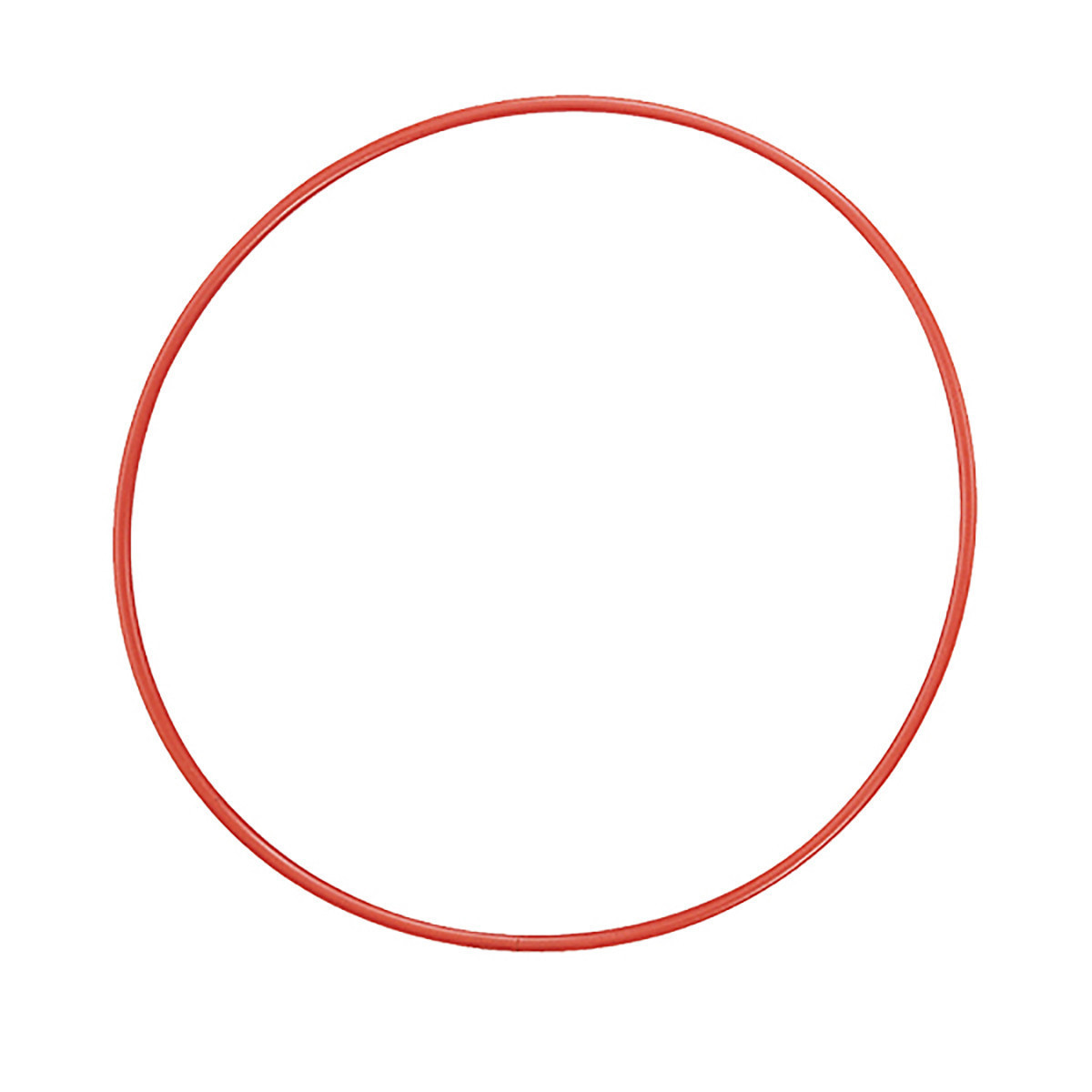 30 Inch Plastic Hoops (Doz) | Shop by Category P.E. Hoops