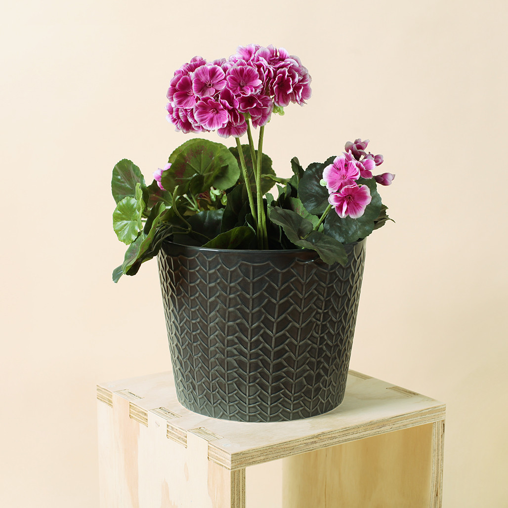 EMBOSSED BLACK LEAF PATTERN SET 3 - DHP0088-3 Black - Bronrob