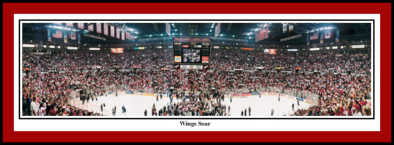 Detroit Red Wings Posters | Red Wings Poster