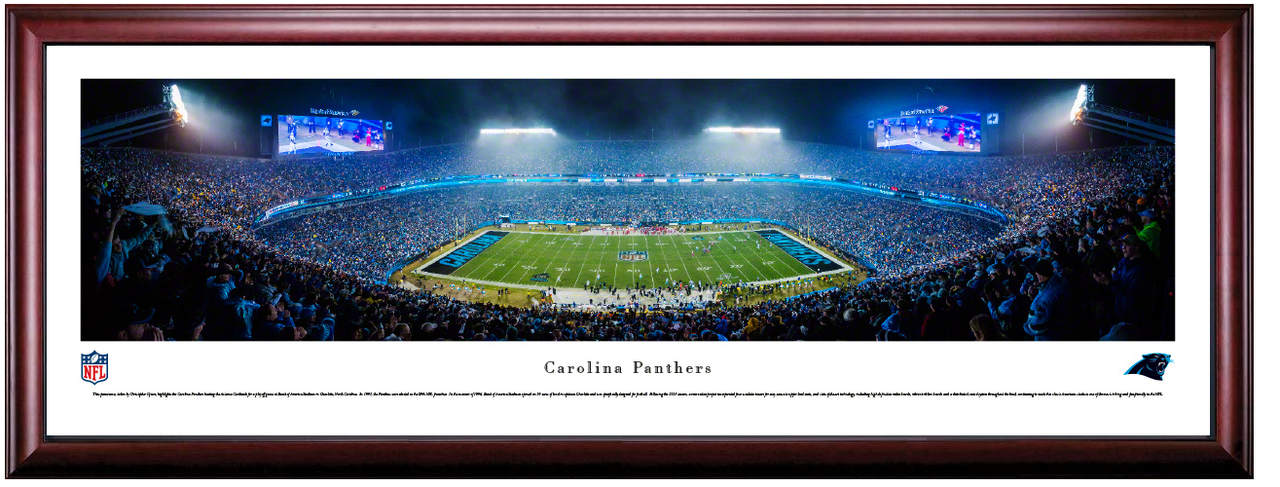 Carolina Panthers Bank of America Stadium Night Framed Picture
