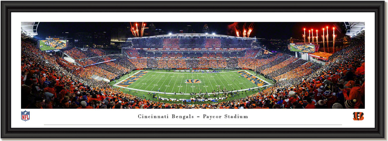 Cincinnati Bengals - Stripe the Jungle - Paycor Stadium Framed Print