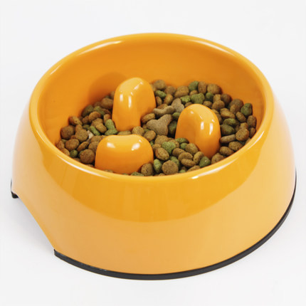 Why Do Some Dogs Gulp Their Food