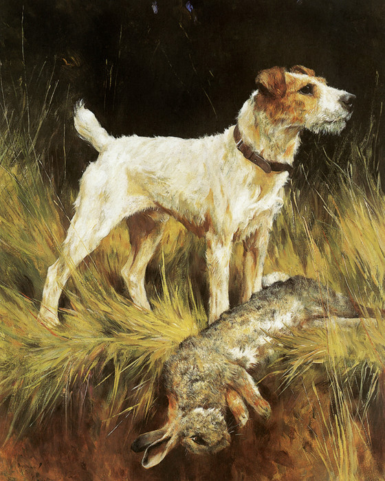 Art Prints of Scent on the Breeze by Arthur Wardle