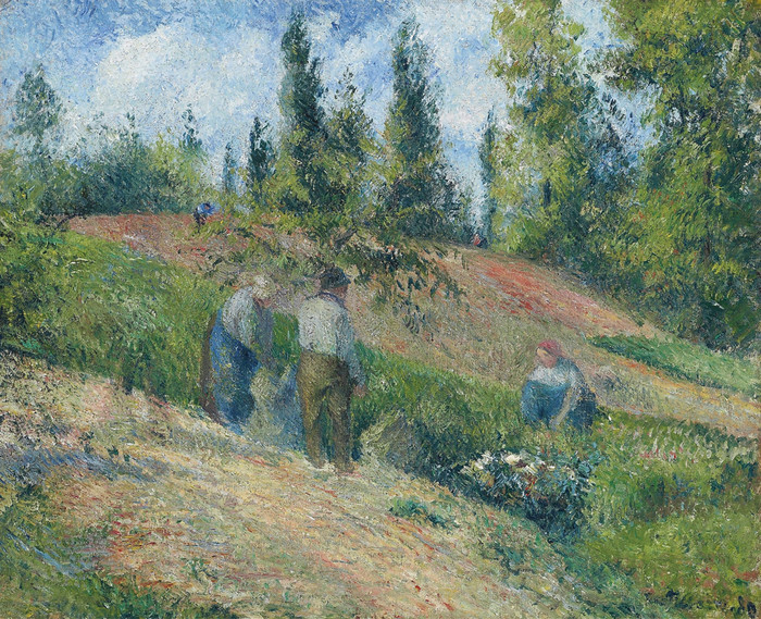 Art Prints of Apple Harvest by Camille Pissarro