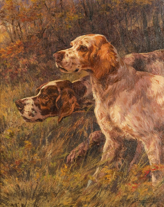 Art Prints of English Setter & Pointer in a Field by Edmund Henry Osthaus