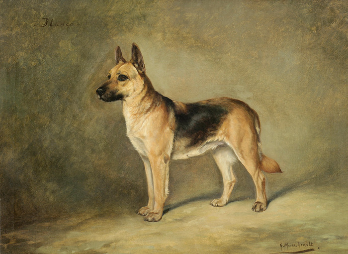 Gustav Muss-Arnolt Art Prints | Canvas, Paper & Cards