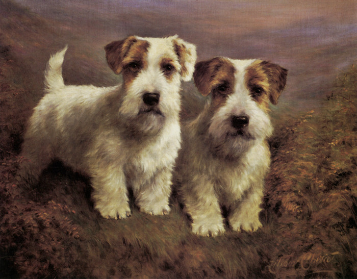 Art Prints of A Tibetan, a Cairn & a Silky Terrier by Lilian Cheviot