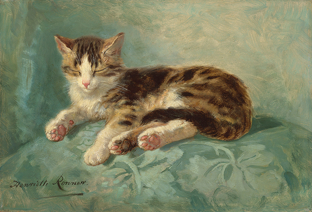 Henriette Ronner Knip Art Prints | Canvas, Paper & Cards
