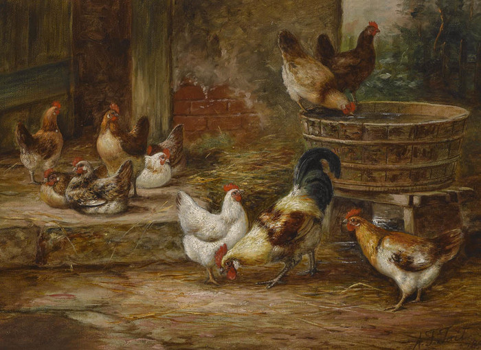 Art Prints of Barnyard Fowl by Arthur Fitzwilliam Tait