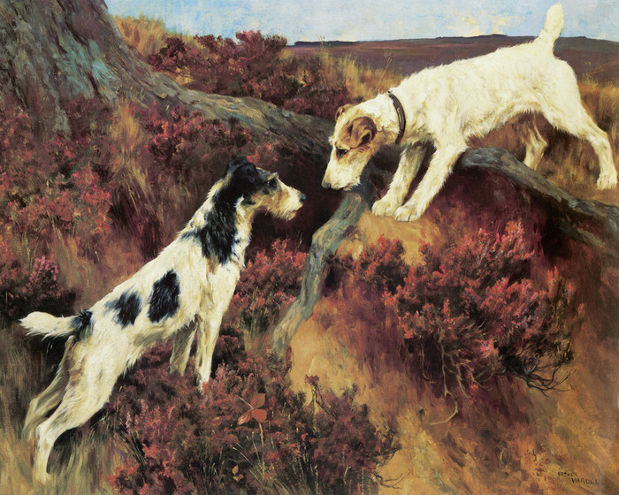 Art Prints of Reconnoitering by Arthur Wardle