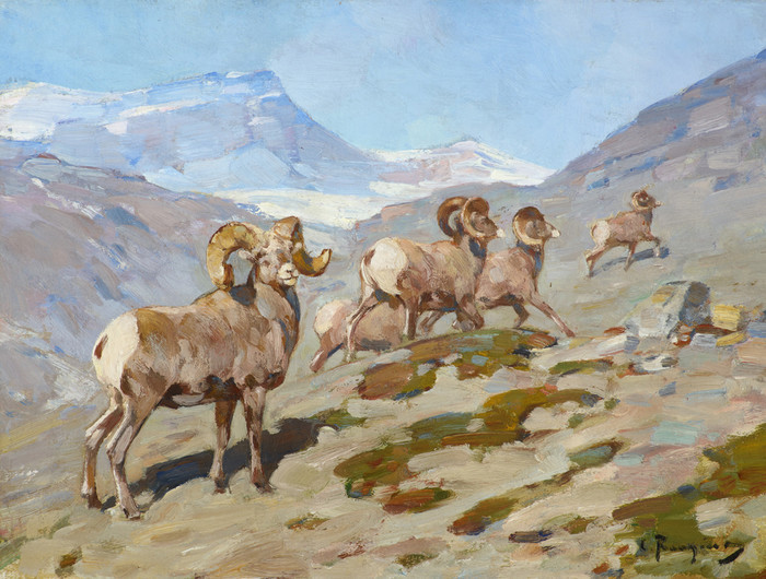 Art Prints of Bighorn Sheep, Nigel Pass, Alberta, 1919 by Carl Rungius