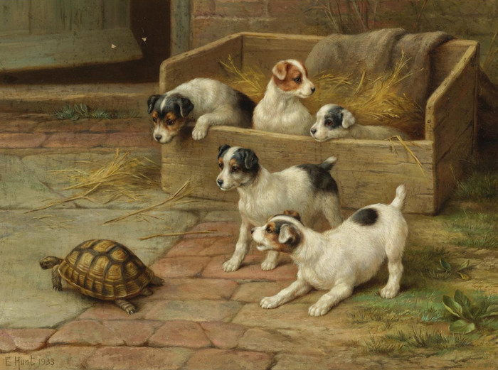 Art Prints of Puppies & a Tortoise by Edgar Hunt