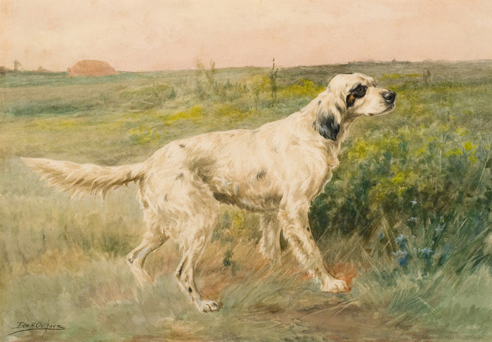 Art Prints of Hunting Setter Dog I by Edmund Henry Osthaus